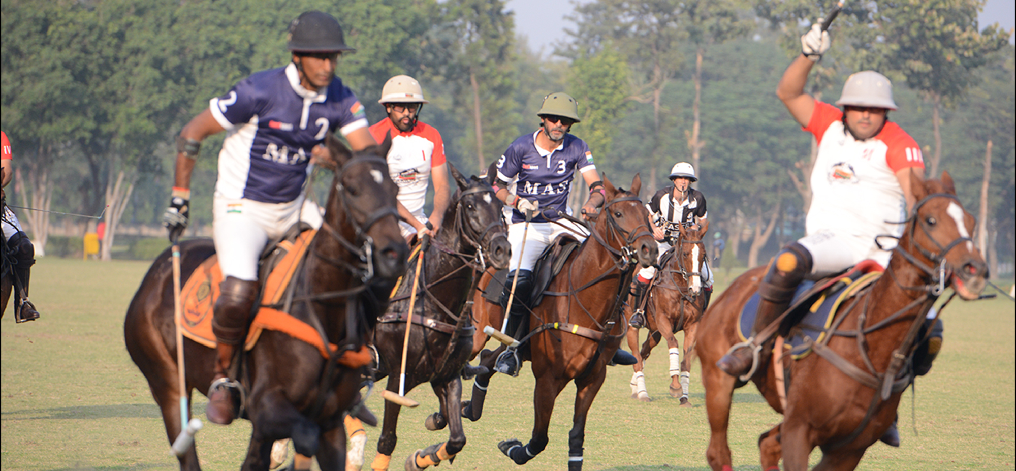 Cingari | Buy Cigars Online from India's Most Trusted Cigar Store