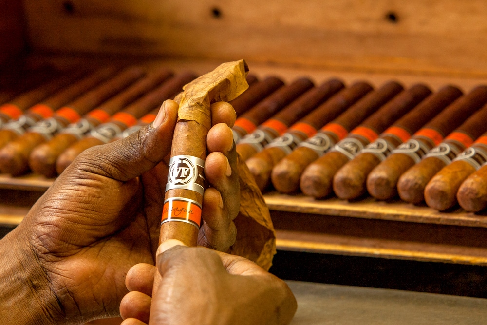 Delhi Cigar Shop: Master Cigar Cutting Techniques.